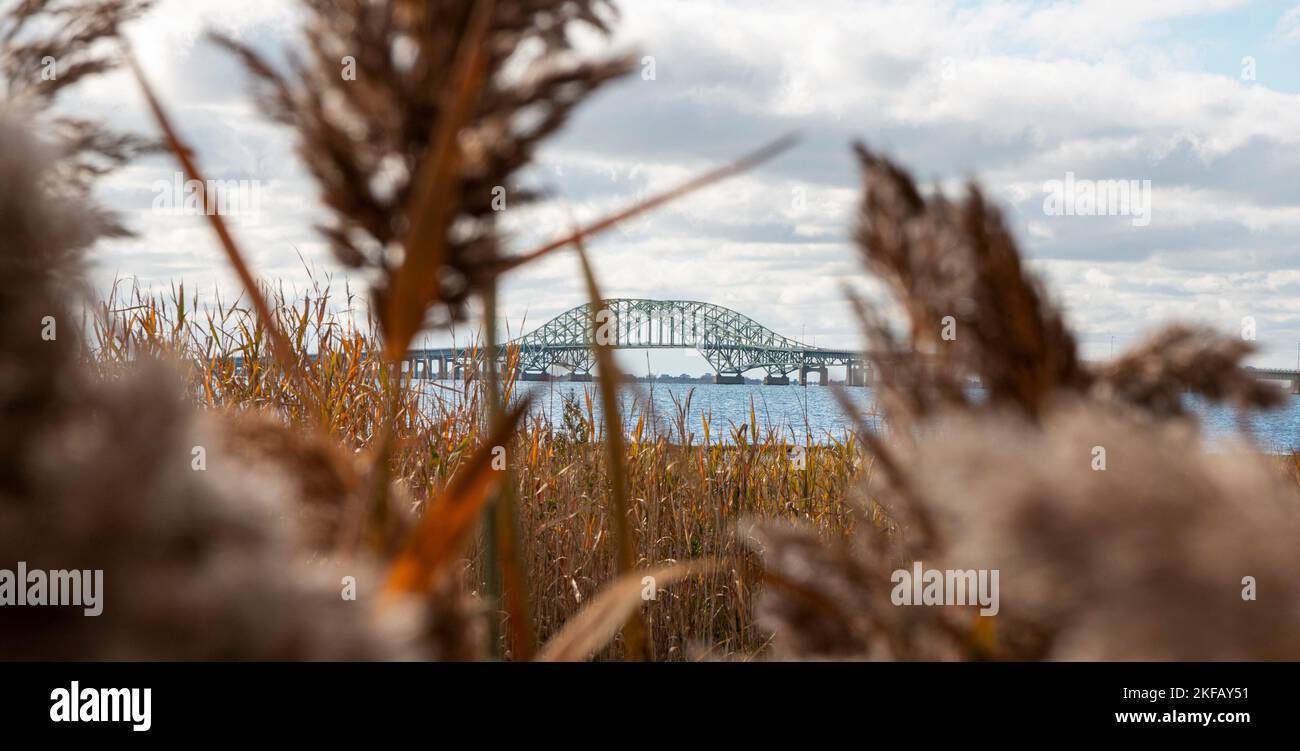 View looking though the weeds and beach grass at the Great South Bay ...