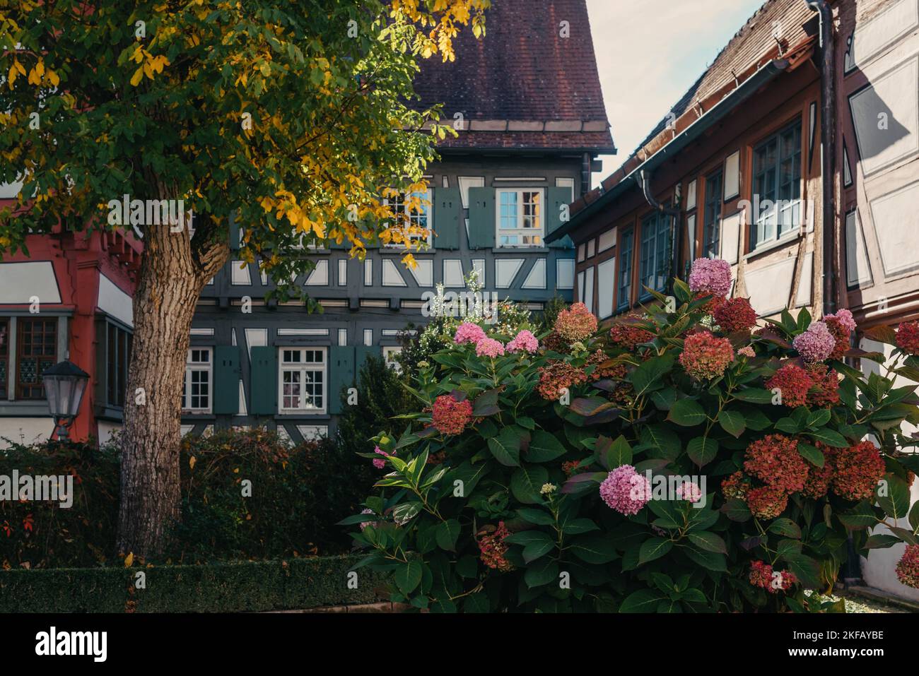 Traditional German Houses with nice garden in fall. Flowers in the City ...