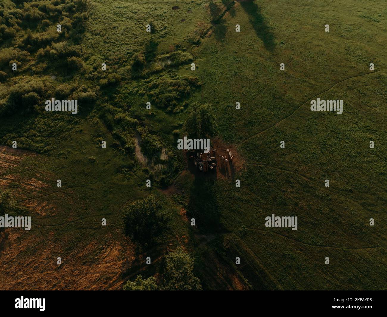 Scenic aerial view of green rural landscape Stock Photo - Alamy