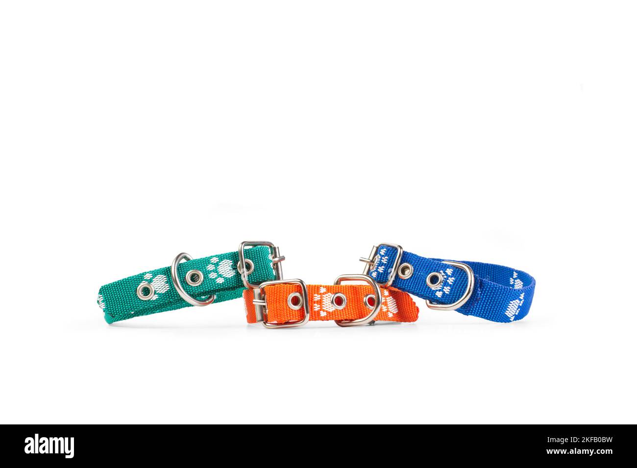 Colored dog collars on a white background with copy space Stock Photo ...