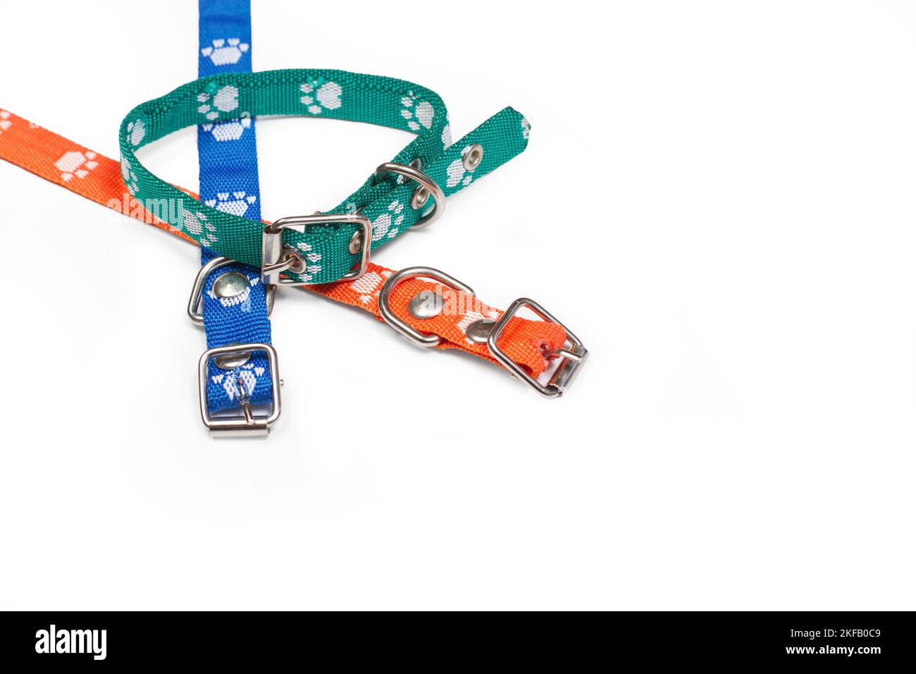 Colored dog collars on a white background with copy space Stock Photo ...