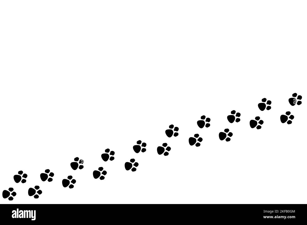 Dog tracks on a white background with copy space Stock Photo - Alamy