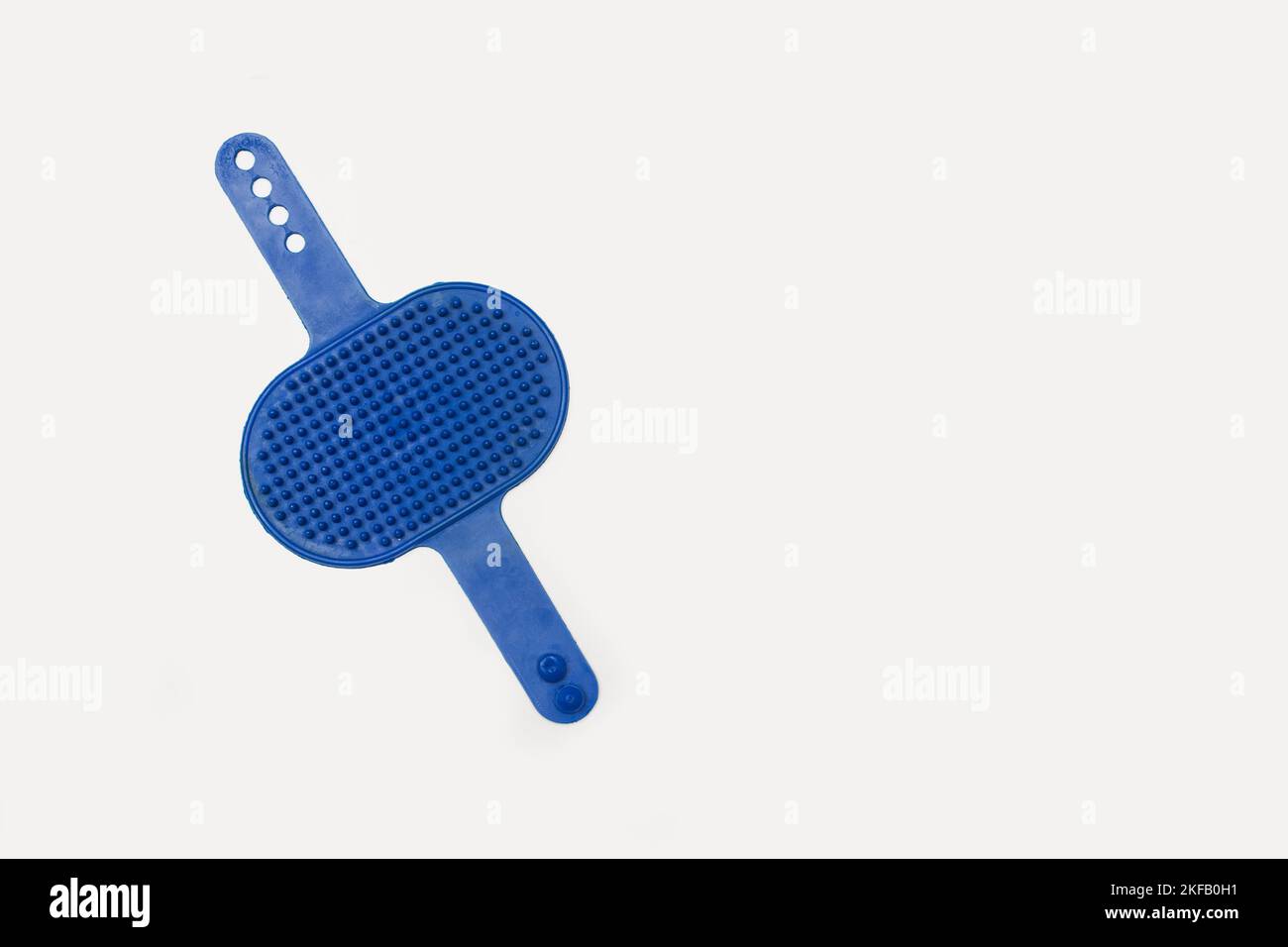 Blue rubber handle pet brush on a gray background with copy space Stock ...