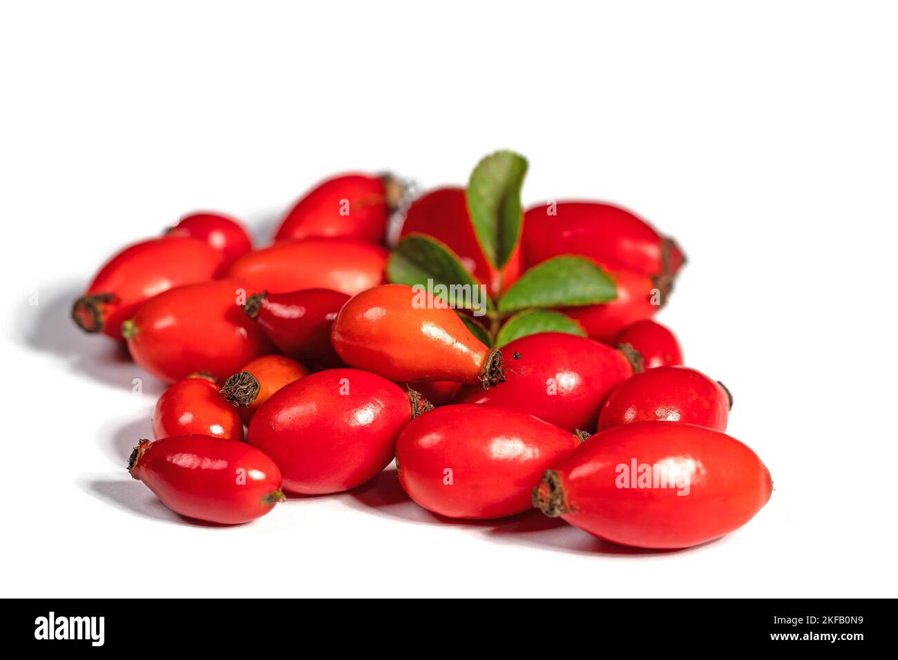 Rose hips harvest Cut Out Stock Images & Pictures - Alamy
