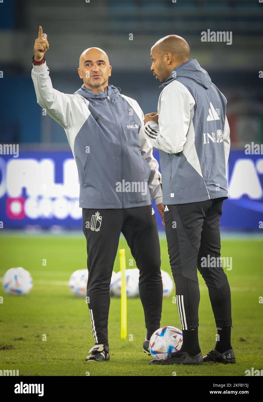 Kuwait City, Kuwait, Thursday 17 November 2022. Belgium's head coach ...