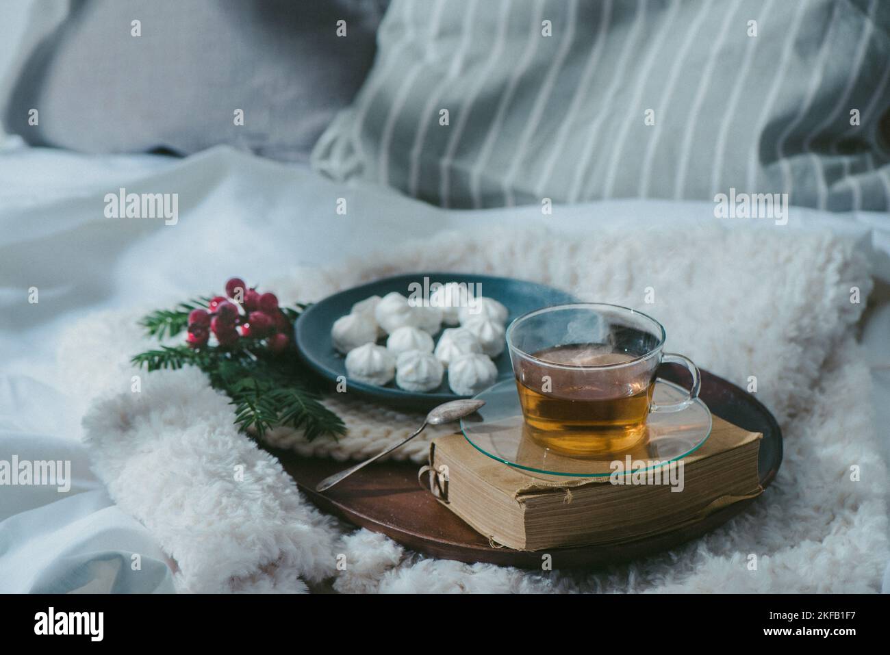 Christmas morning scene Stock Photo - Alamy