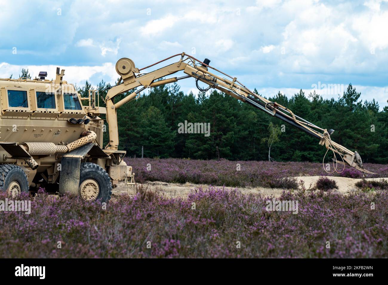 1 3 abct hi-res stock photography and images - Alamy