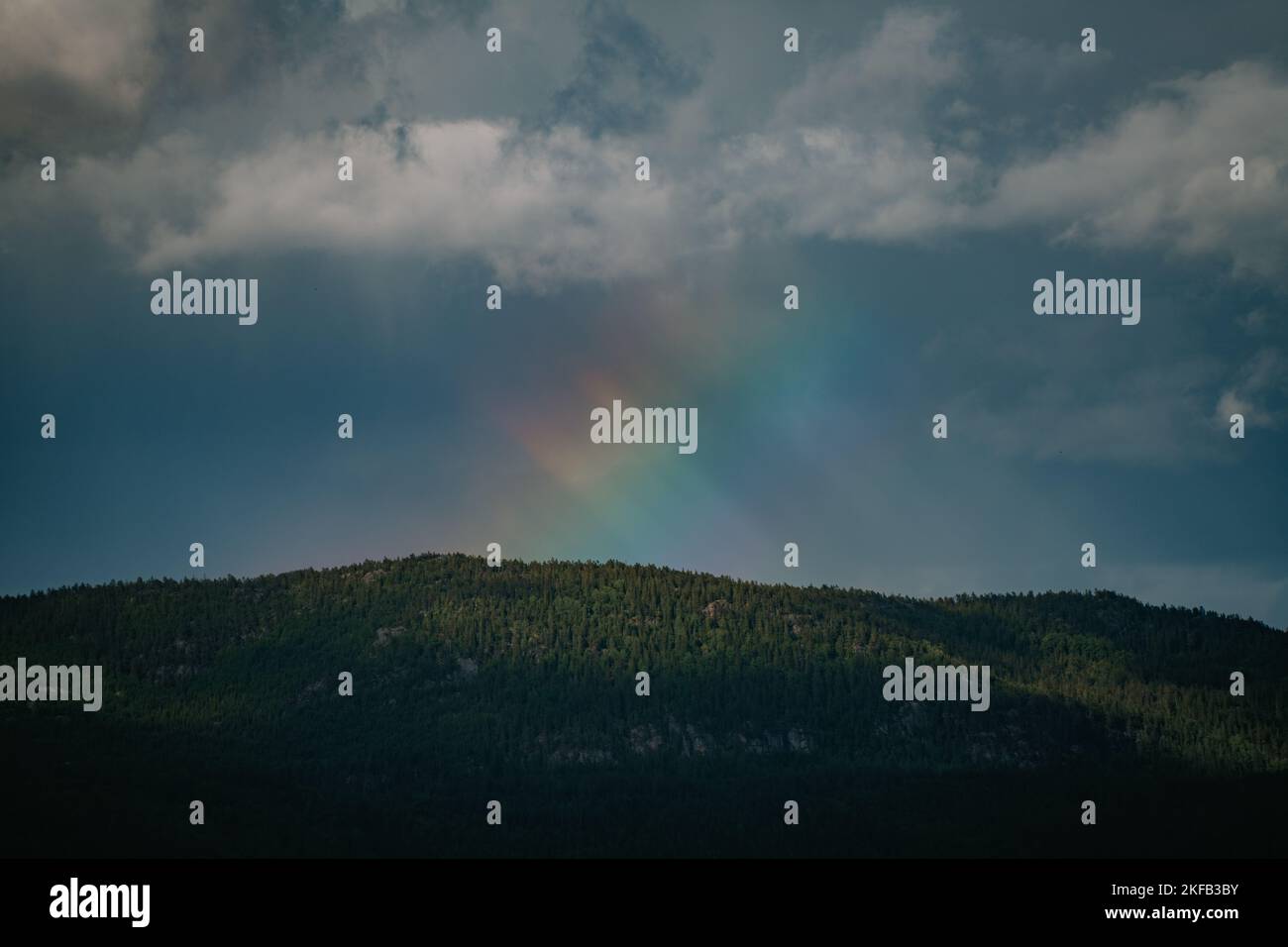 The colors of the rainbow over a hill after rain against the blue sky ...