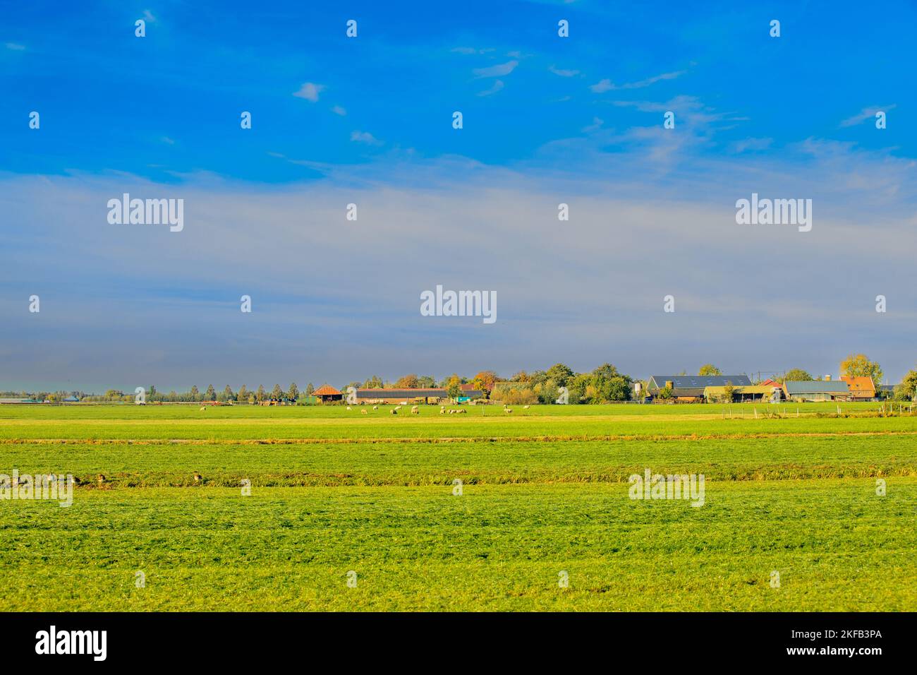 Zaanse rietveld hi-res stock photography and images - Alamy
