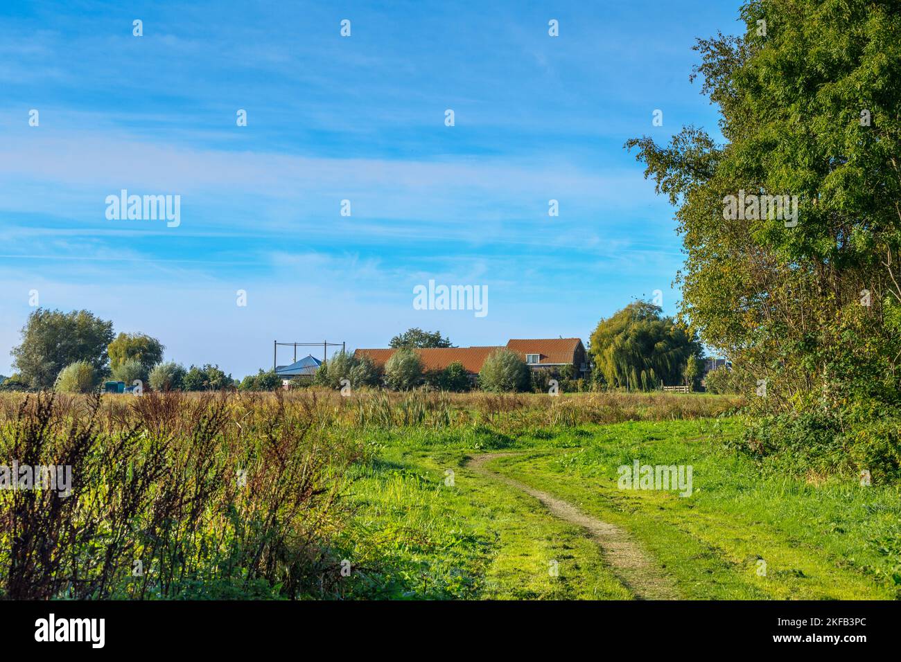 Sunrise over landscape Zaans Rietveld nature reserve in the Dutch ...