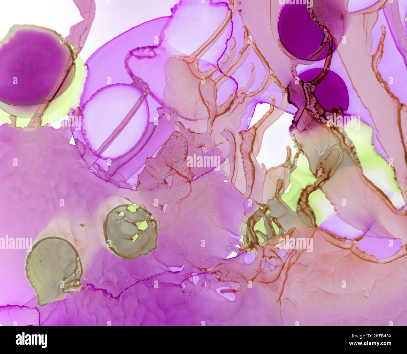 Ethereal Paint Texture. Alcohol Ink Wave Stock Photo - Alamy