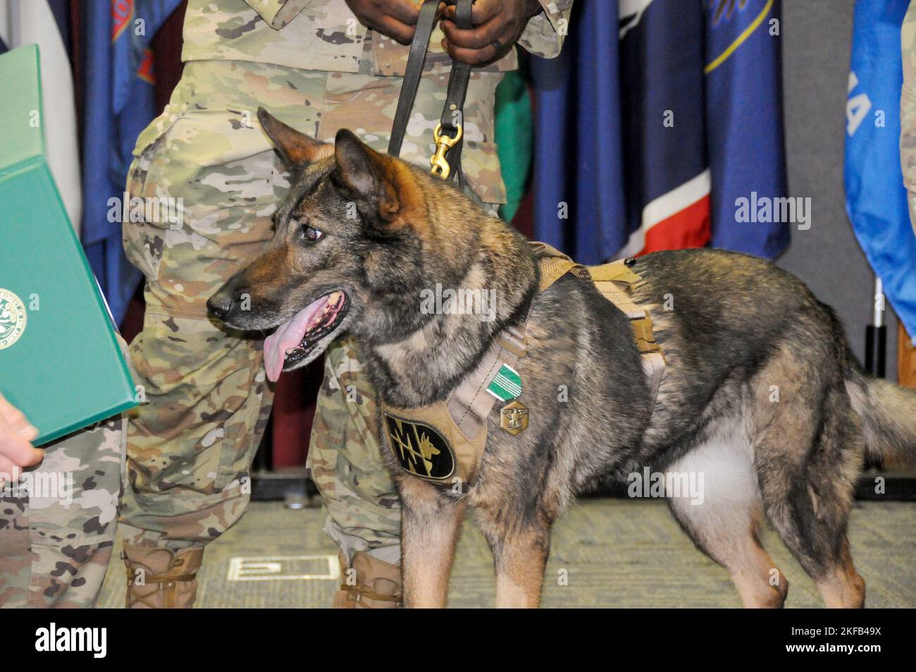 MWD Lisa is awarded an Army Commendation Medal by Lt. Gen. Theodore D ...