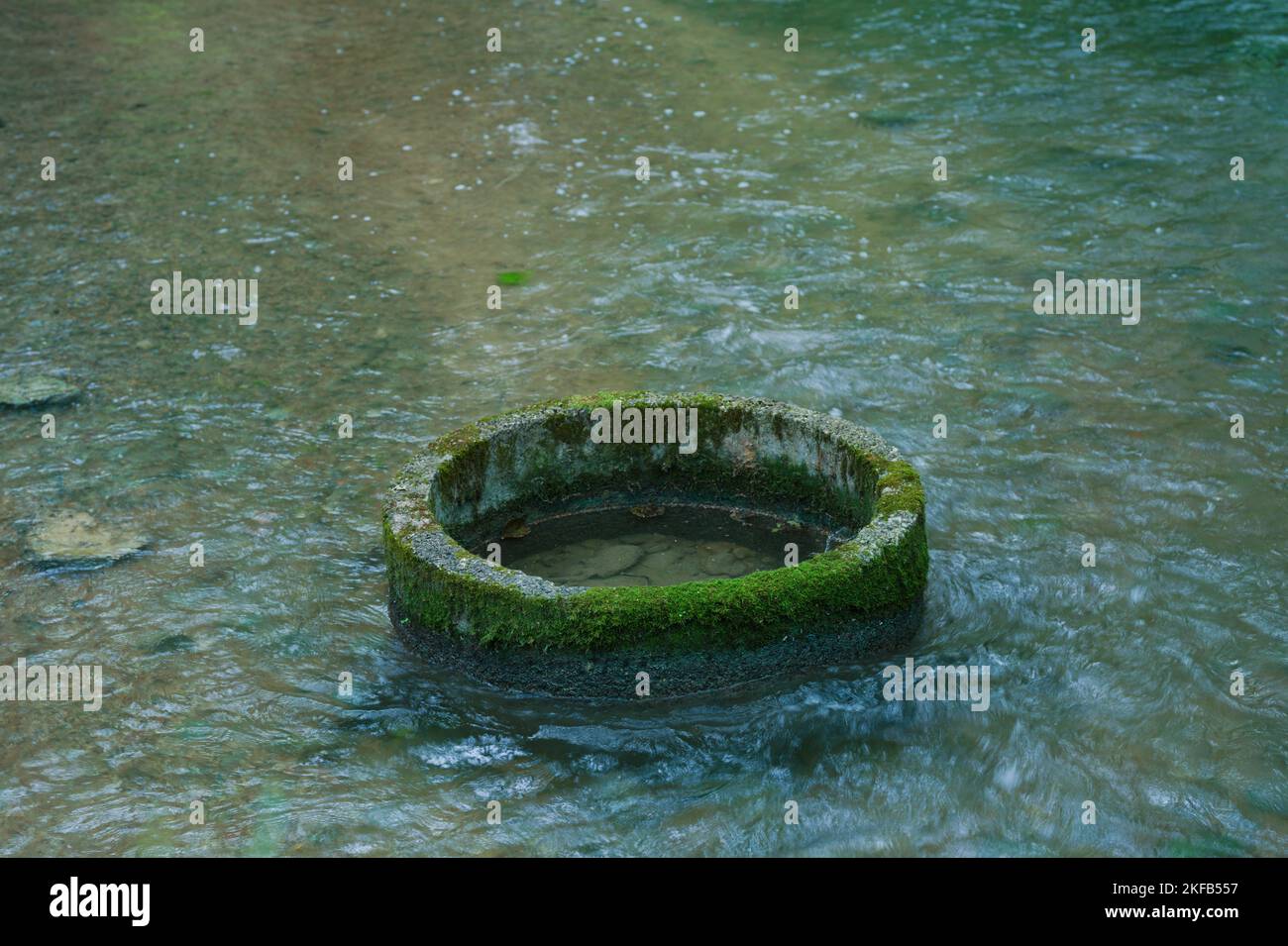 A moss-grown concrete pipe sticking out of a river in the Wigry ...