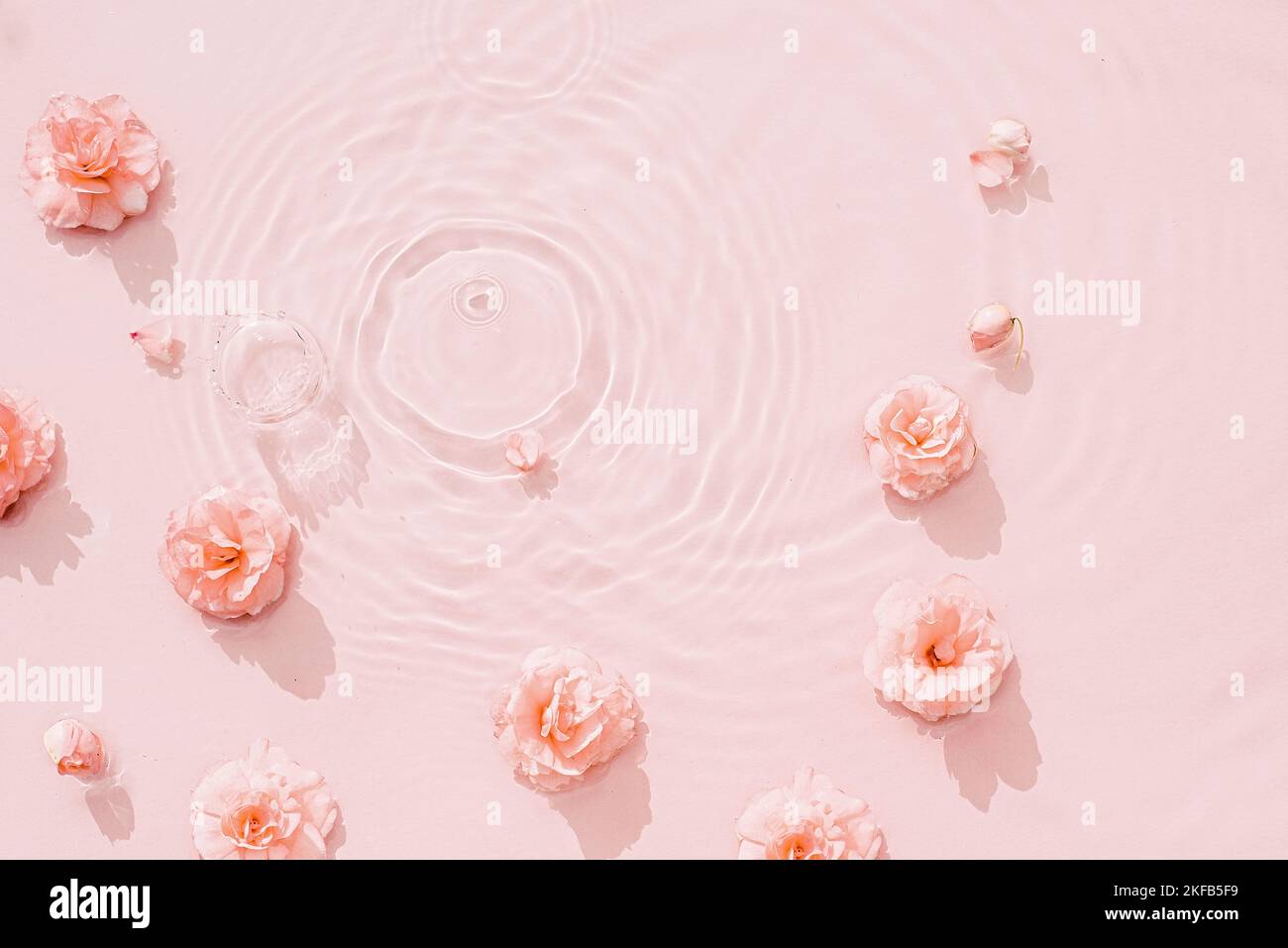 Pink roses, drops and waves on the surface of the water. Water abstract ...