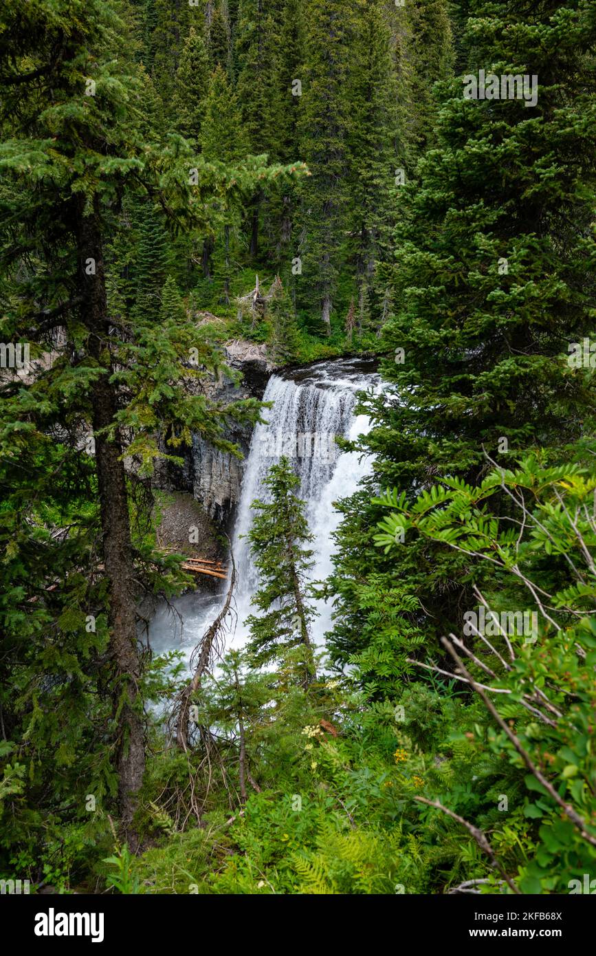 Yellowstone waterfall hike hi-res stock photography and images - Alamy