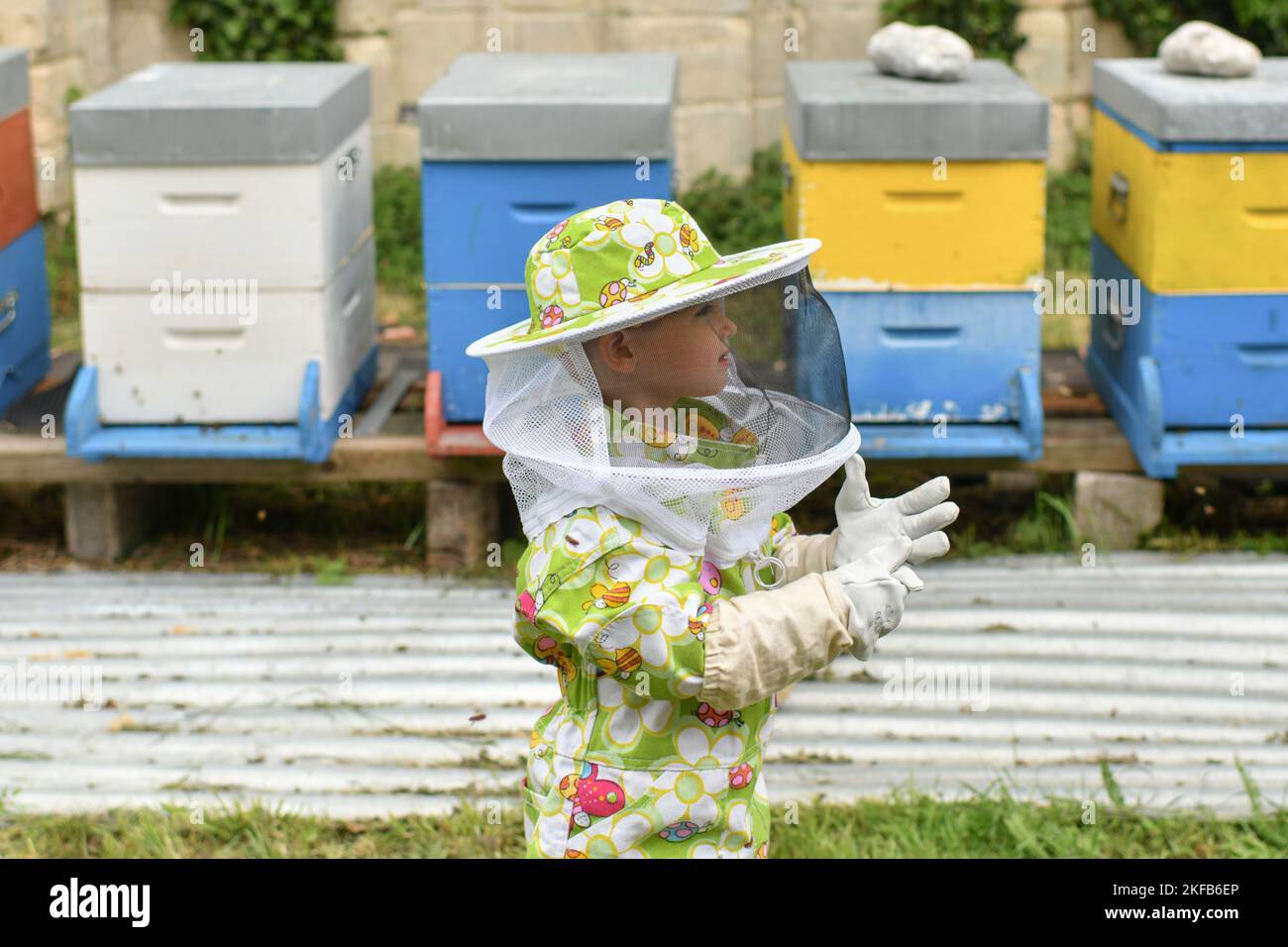 A beekeeper child in apiary in a protective suit Stock Photo - Alamy