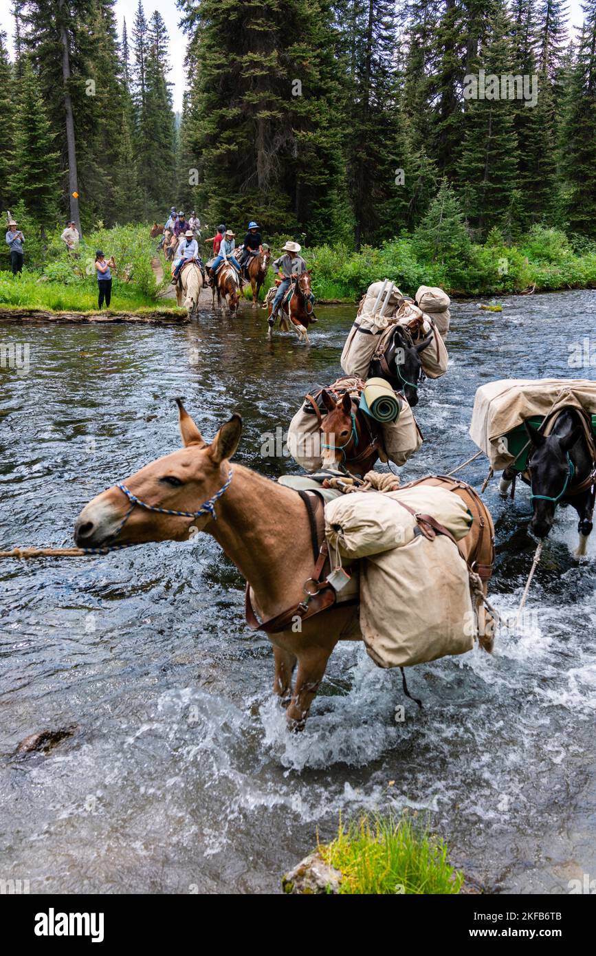 A view of a packtrain crossing the Bechler River in the SW portion of ...