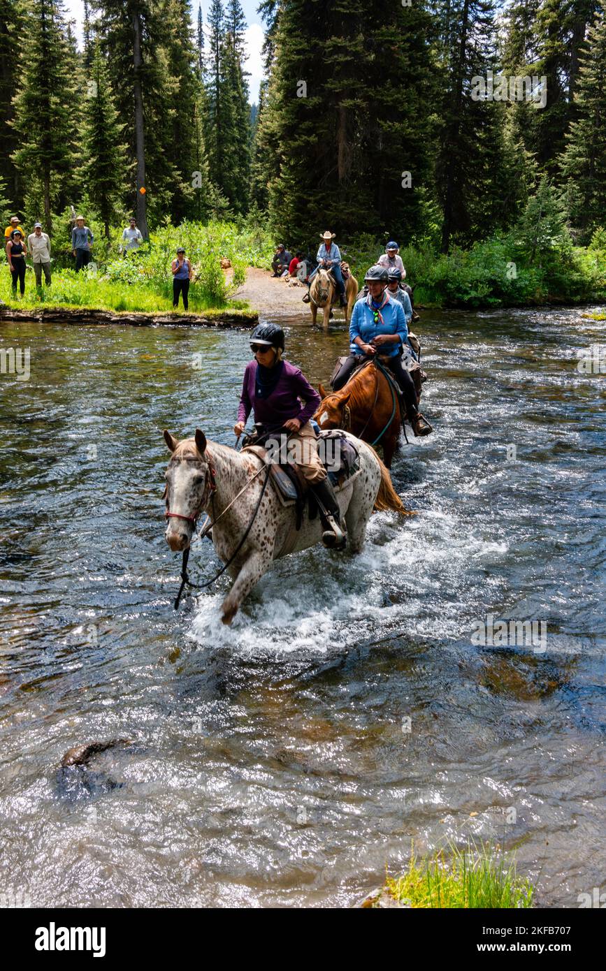 A view of a packtrain crossing the Bechler River in the SW portion of ...