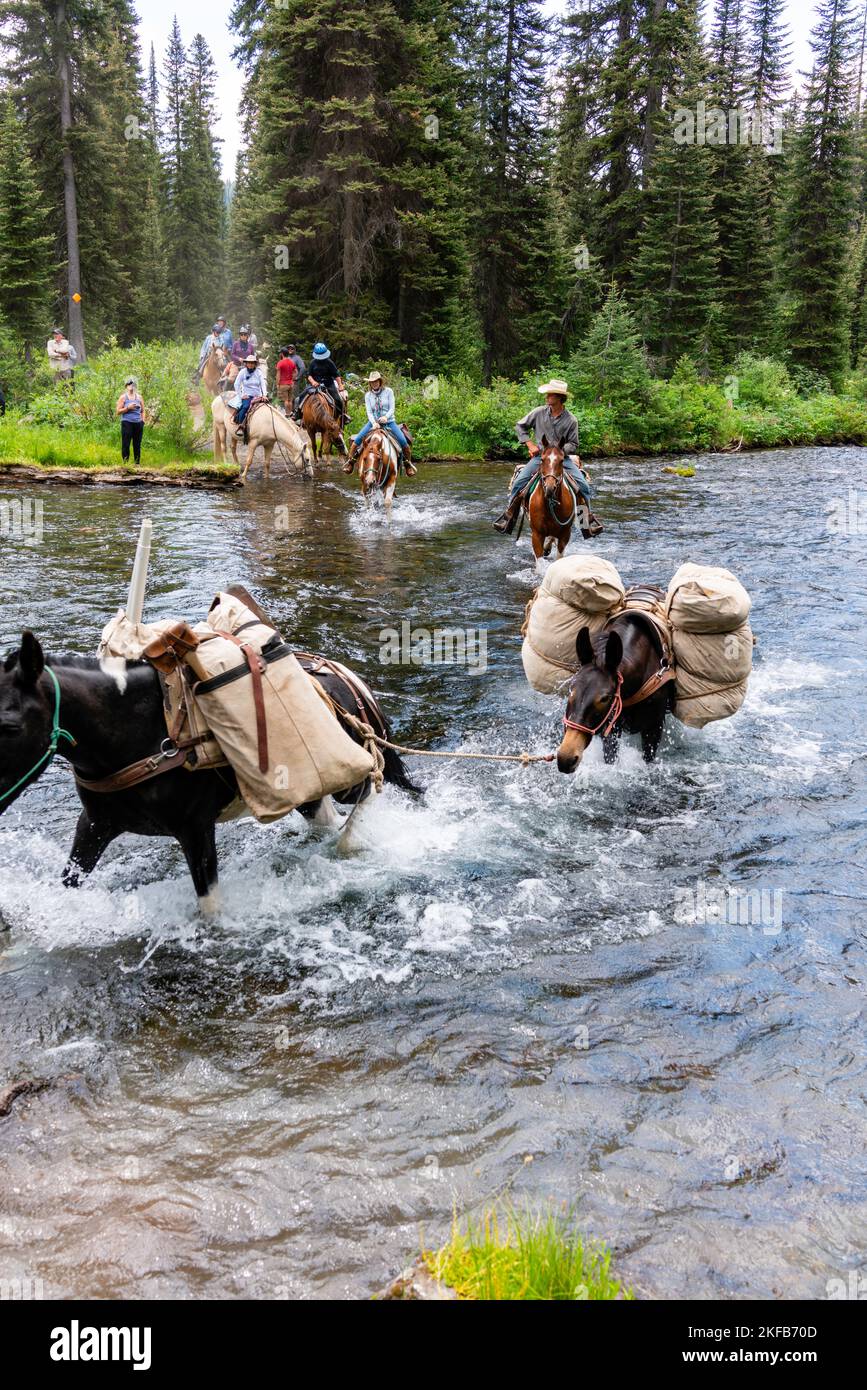 A view of a packtrain crossing the Bechler River in the SW portion of ...