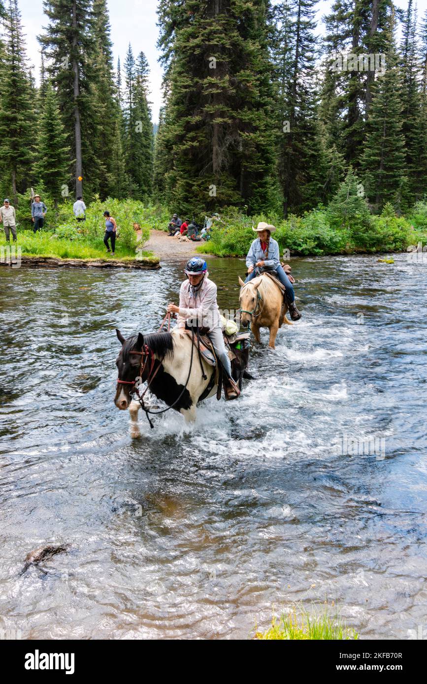 A view of a packtrain crossing the Bechler River in the SW portion of ...
