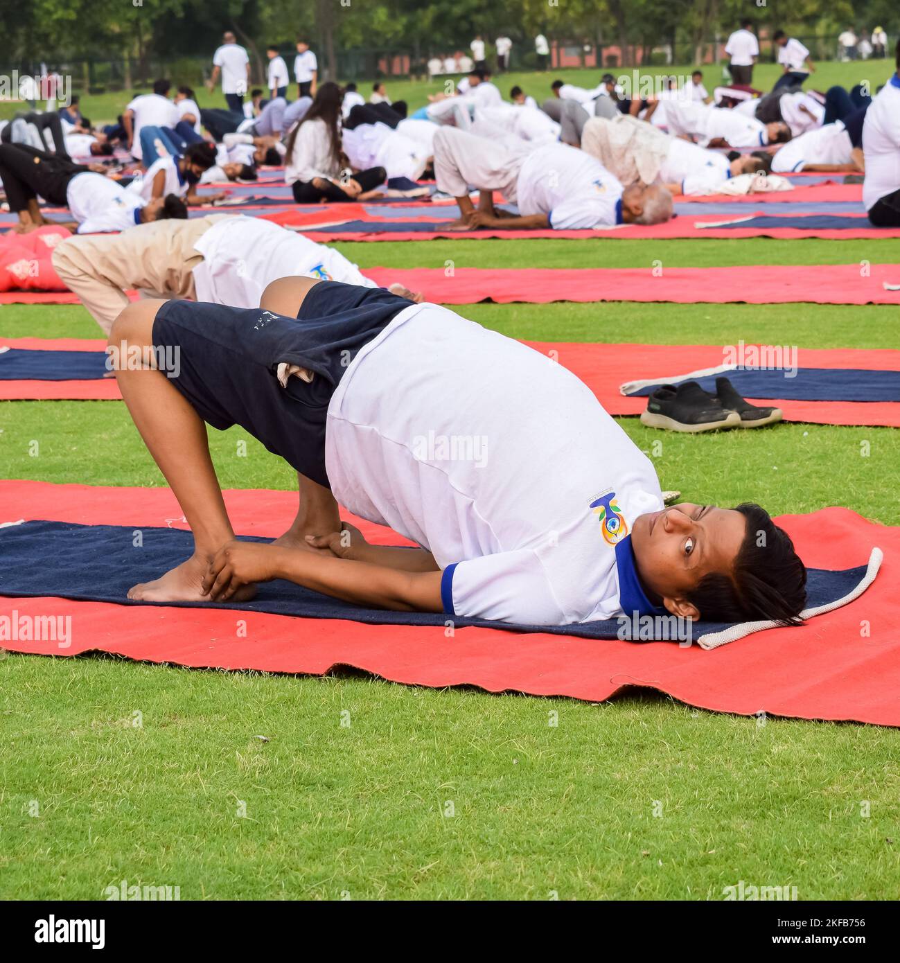 New Delhi, India, June 21 2022 - Group Yoga exercise session for people ...