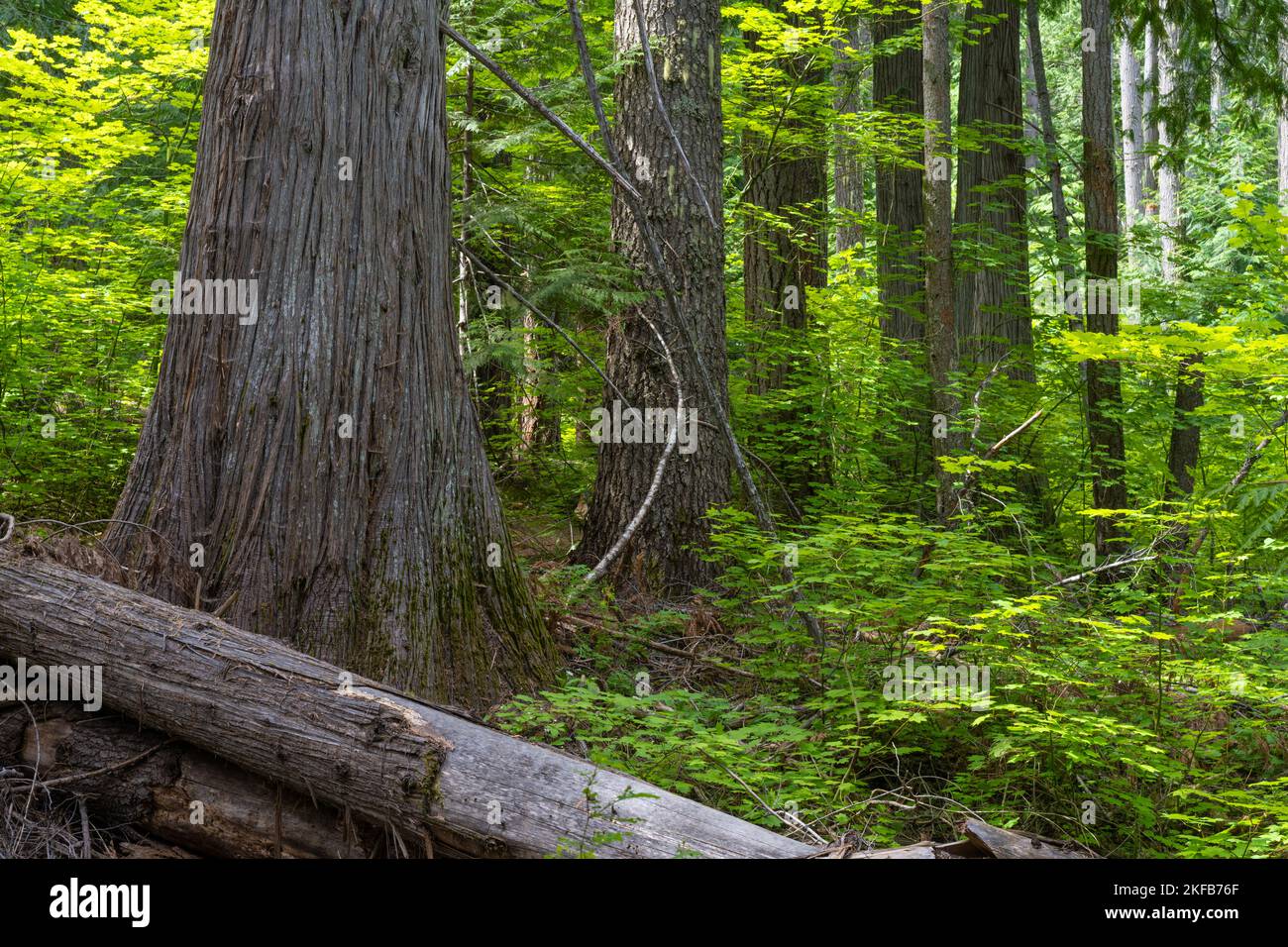 Hiiden lakes trail hi-res stock photography and images - Alamy