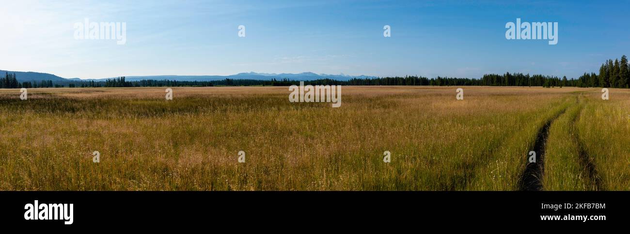 A view across Bechler Meadow in the SW portion of Yellowstone National ...