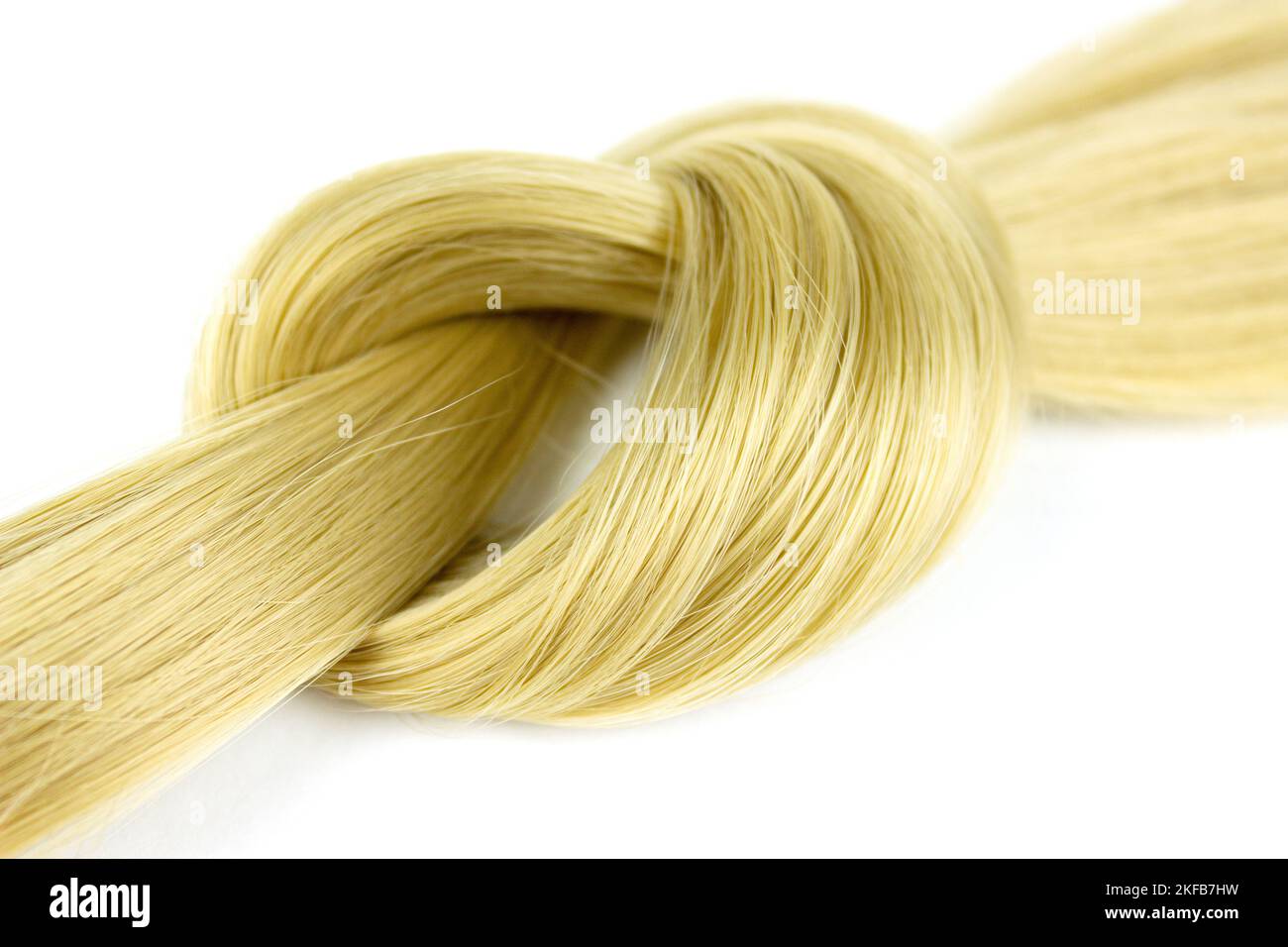 Curl female healthy hair lock tied in knot. Concept hairdresser spa ...