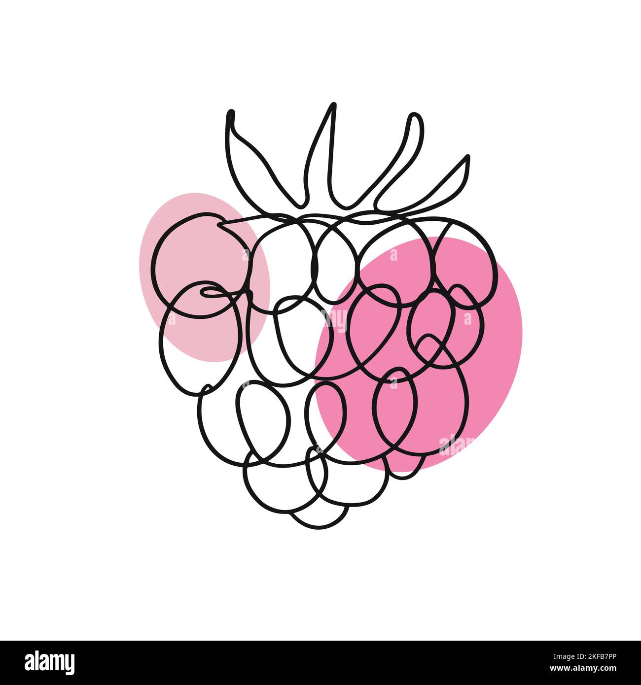 Raspberry continuous one line hi-res stock photography and images - Alamy