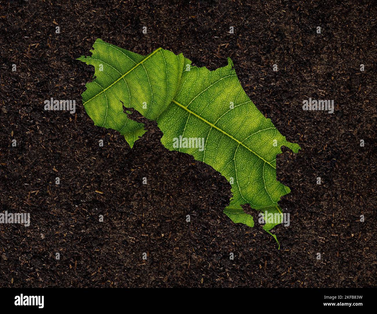 A Costa Rica map made of green leaves on soil background ecology ...