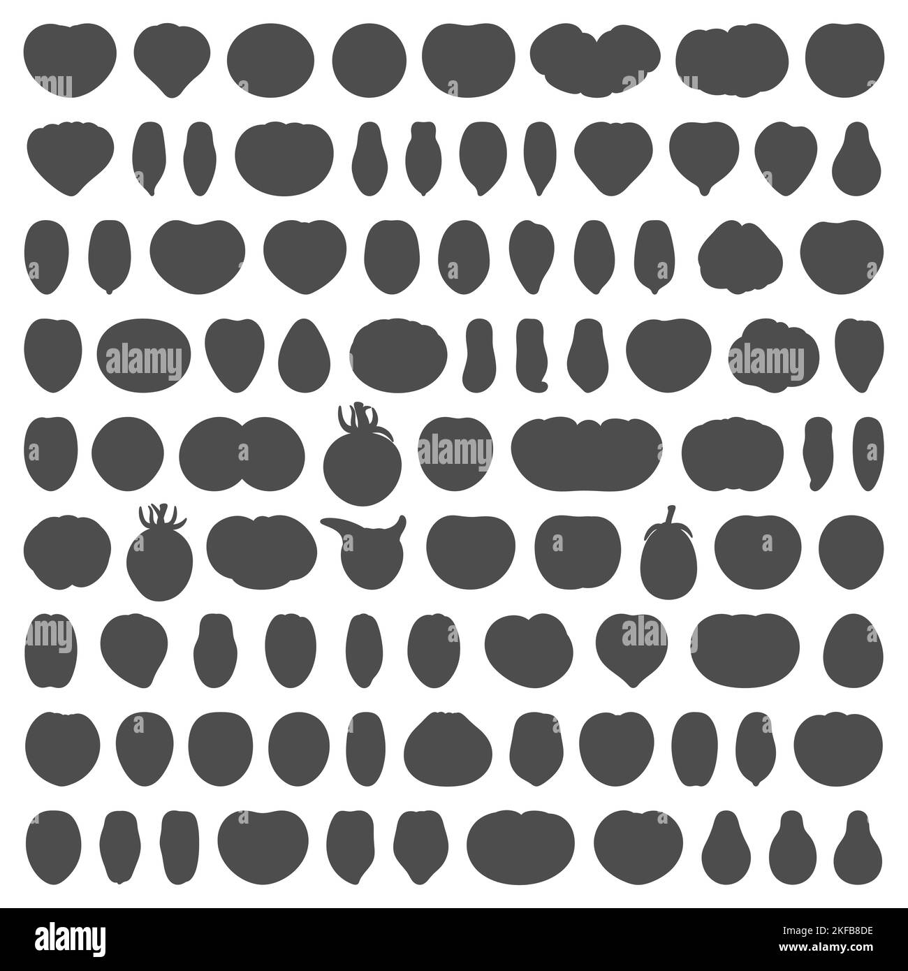 Organic vegetable garden various Black and White Stock Photos & Images ...