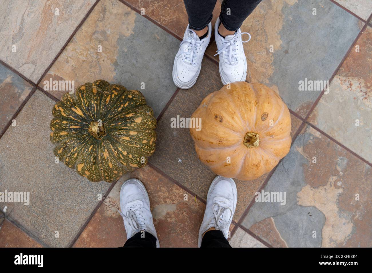 hands of old male farmer raises above his head large pumpkin on garden ...