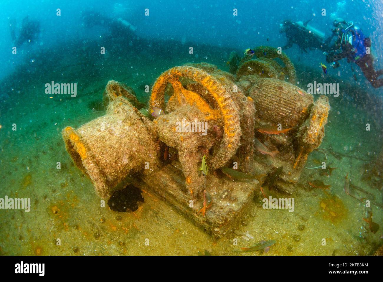 scuba divers exploring a shipwreck underwater Stock Photo - Alamy