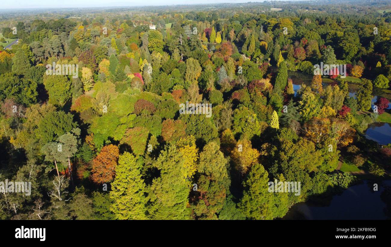 Sheffield Park in autumn sunshine showing vivid colours and lake Stock ...