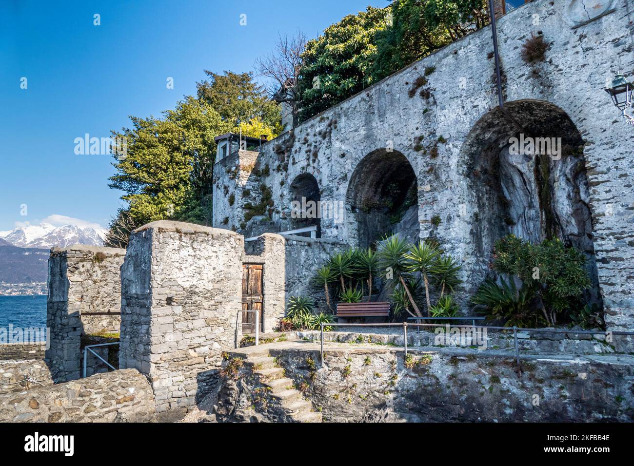 a corner of Corenno Plinio with succulents and the Alps in the ...