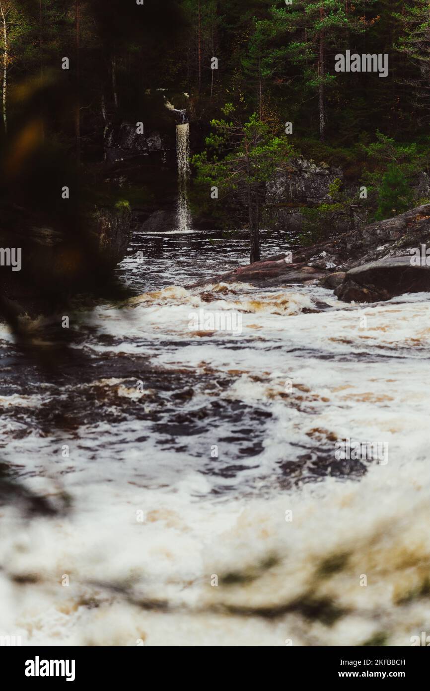 A vertical shot of a streamy foamy river flowing in a forest Stock ...