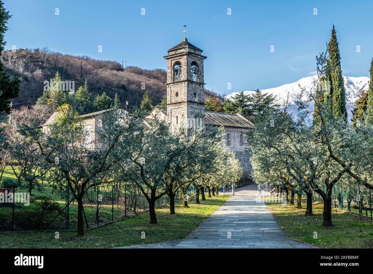 Piona, Italy - 03-02-2021: a garden with many olive trees and in the ...