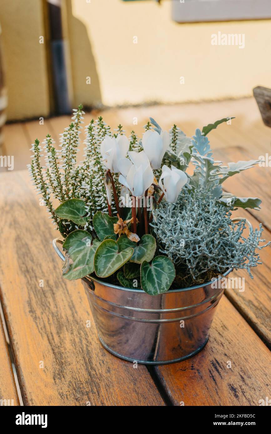 flowers decorative bucket wooden table. Flower composition. Bouquet of ...