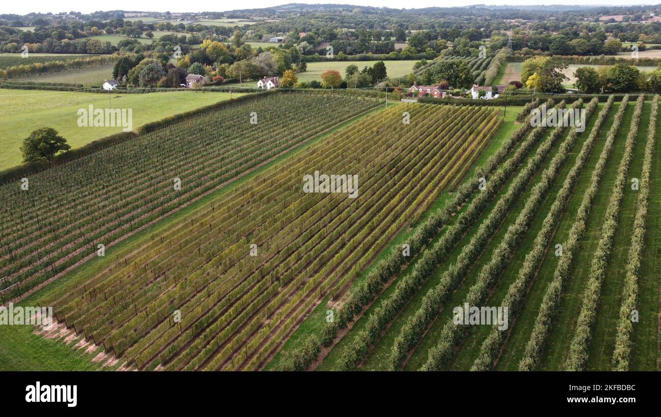 Aerial orchard uk hi-res stock photography and images - Alamy