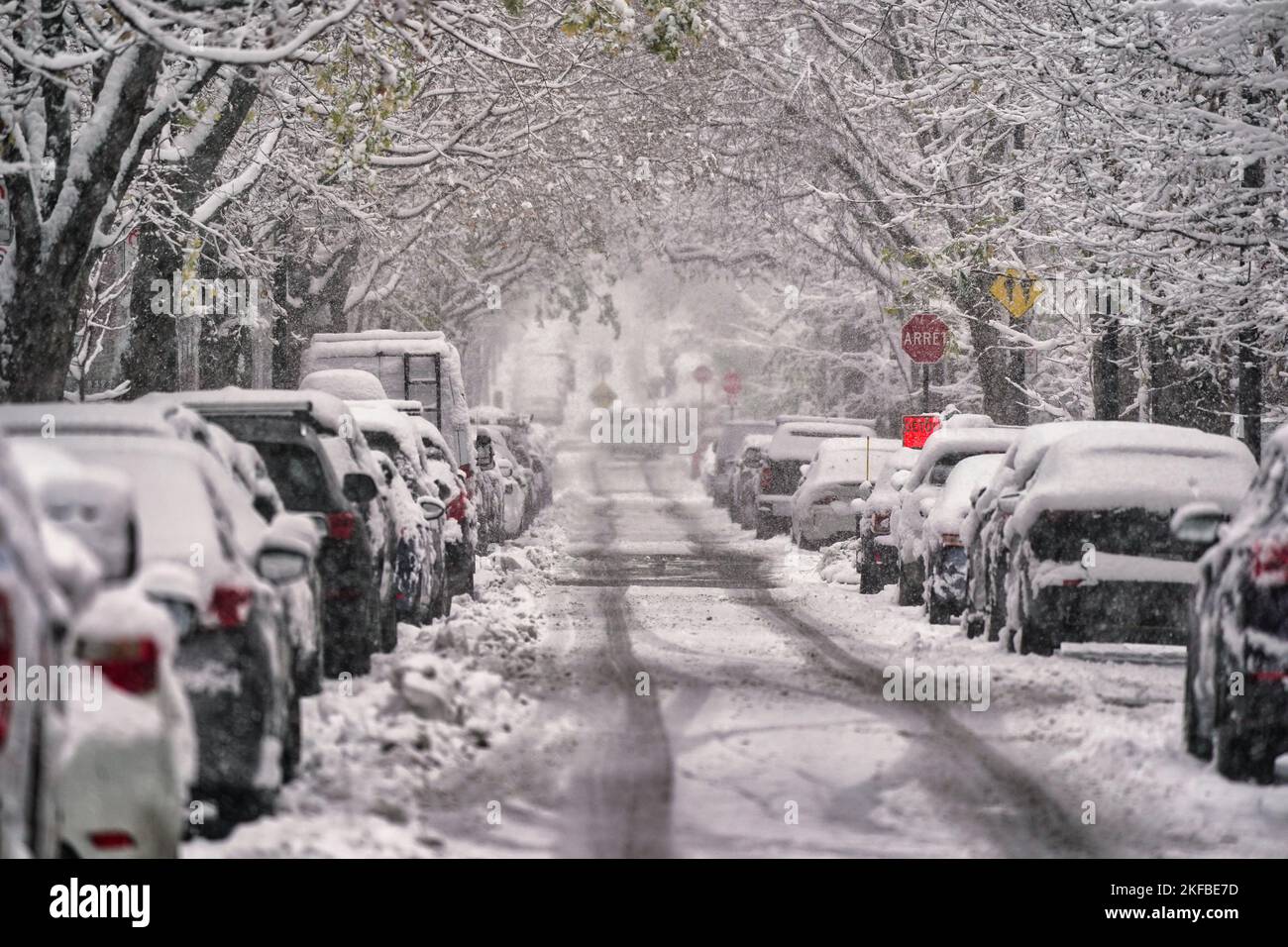 Snow covered street in the Plateau district Stock Photo - Alamy