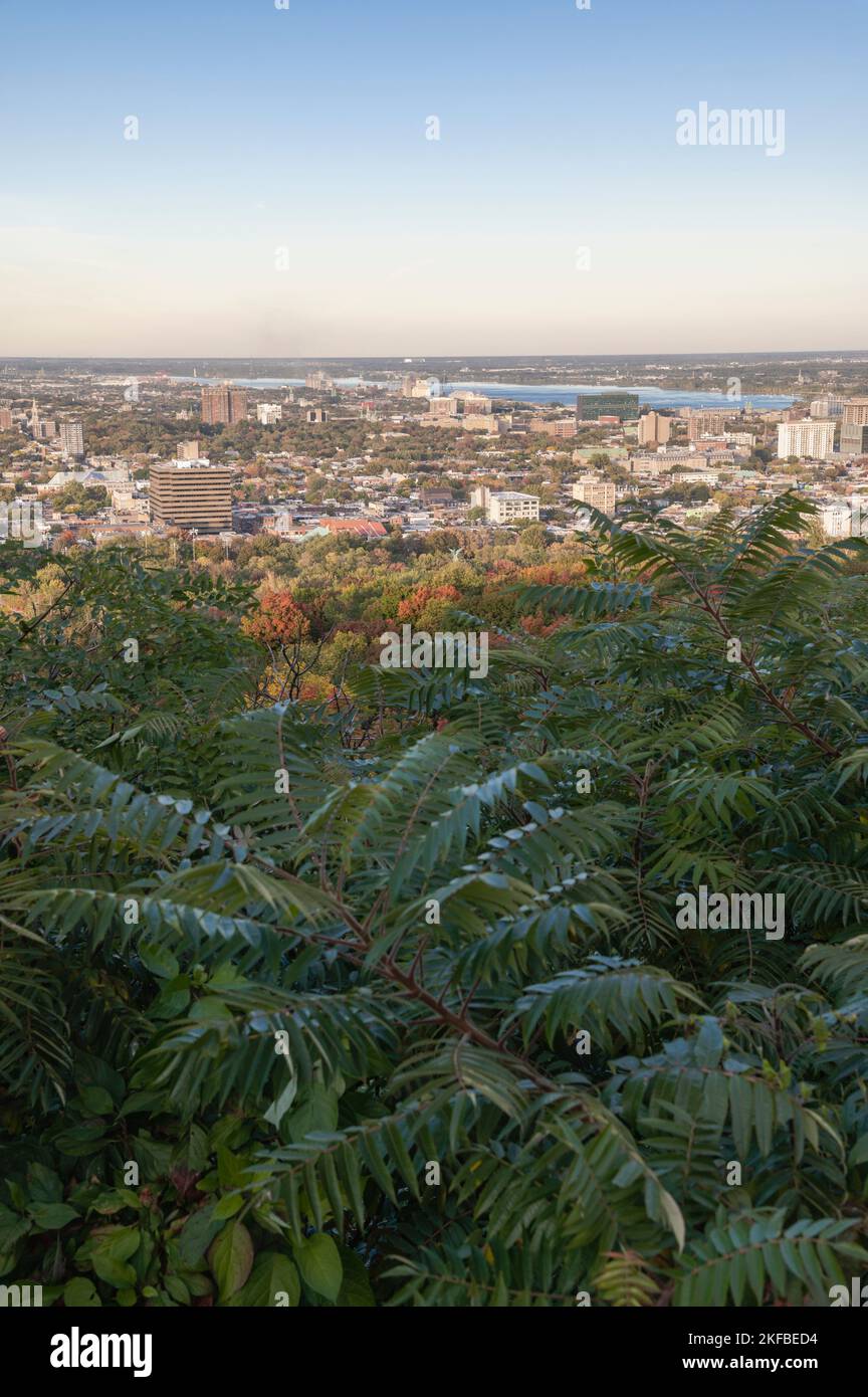 Montreal City Skyline at Sunset from Mont Royal Park, Montreal, Quebec ...