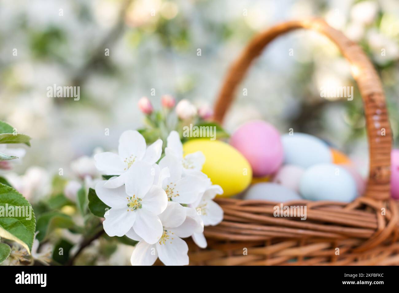 painted Easter eggs in basket on grass. Traditional decoration in sun ...