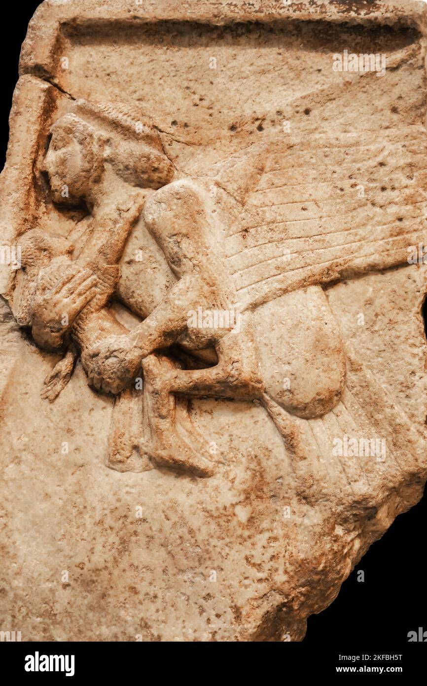 Tropes or concepts in fiction that you wish were more common. | Page 1307 | SpaceBattles