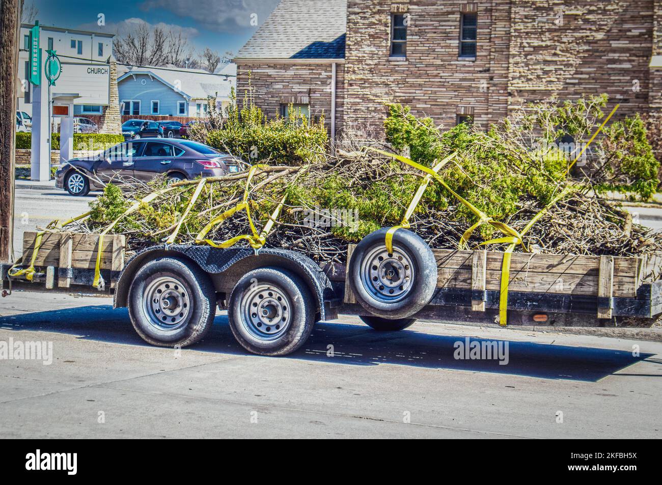 Wooden trailer filled with evergreen waste travelling along a city ...