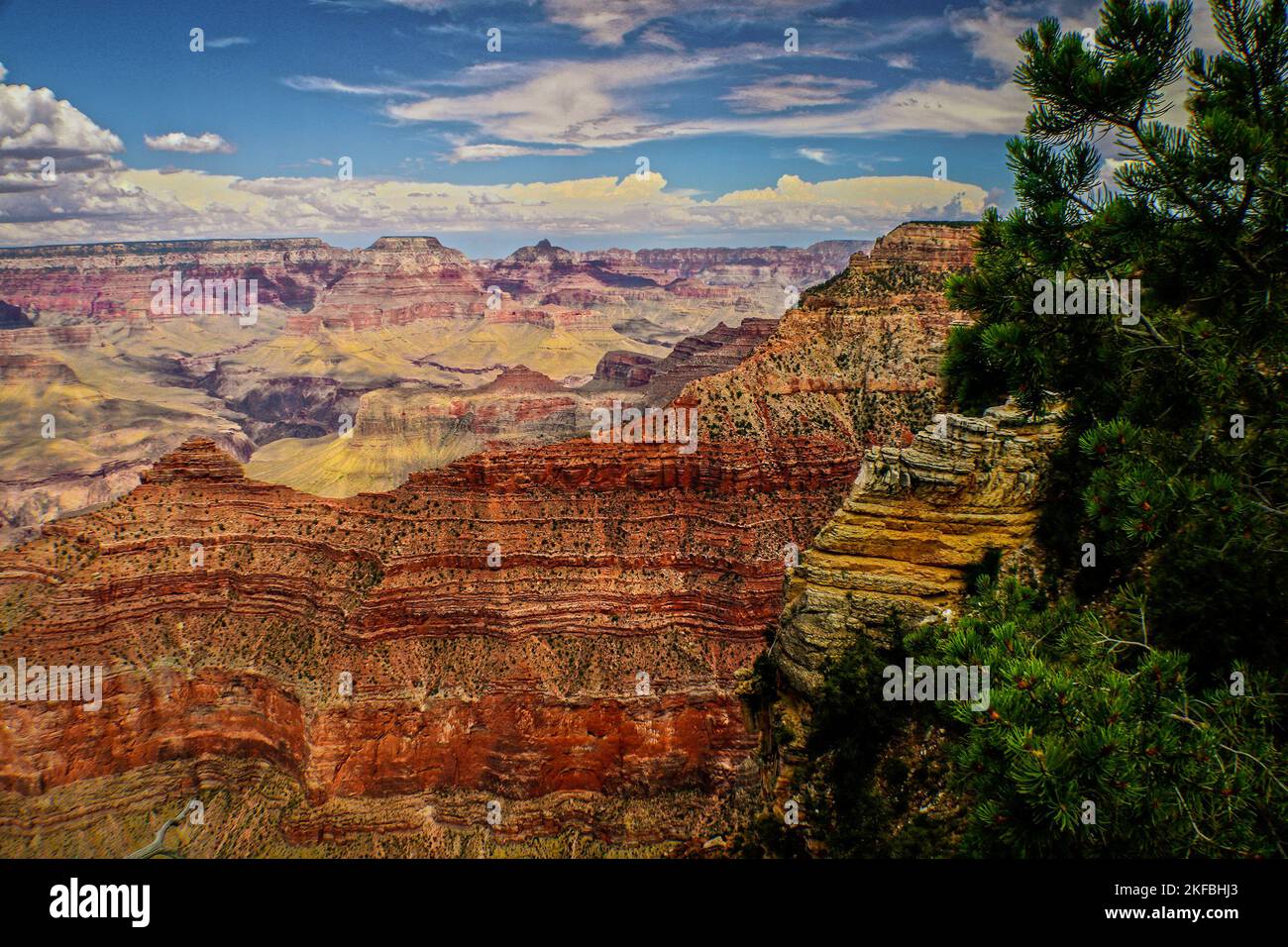 Grand Canyon South Rim framed by evergreen trees - showing layers of ...