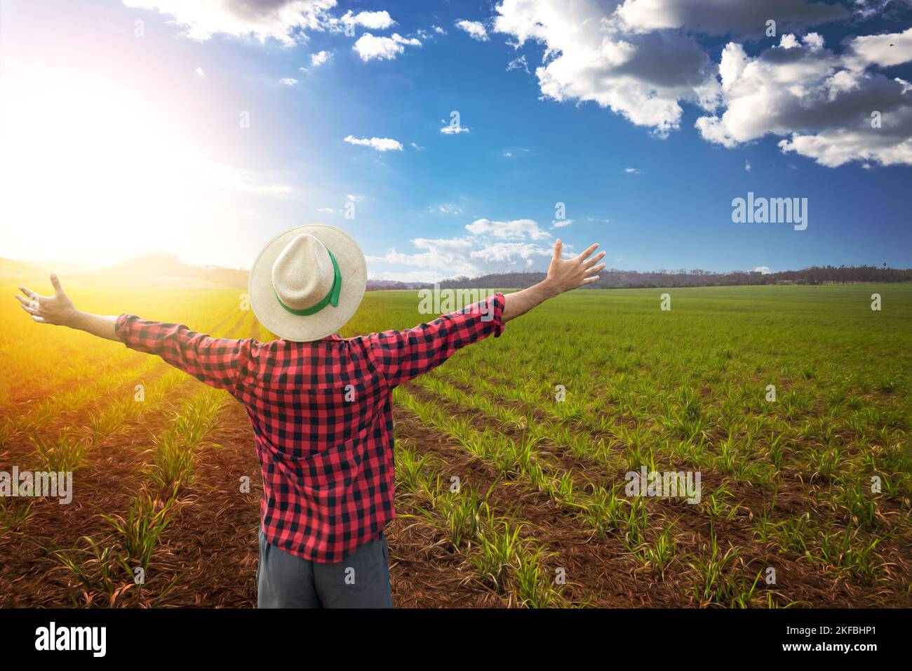Agriculture in Brazil Stock Photo - Alamy