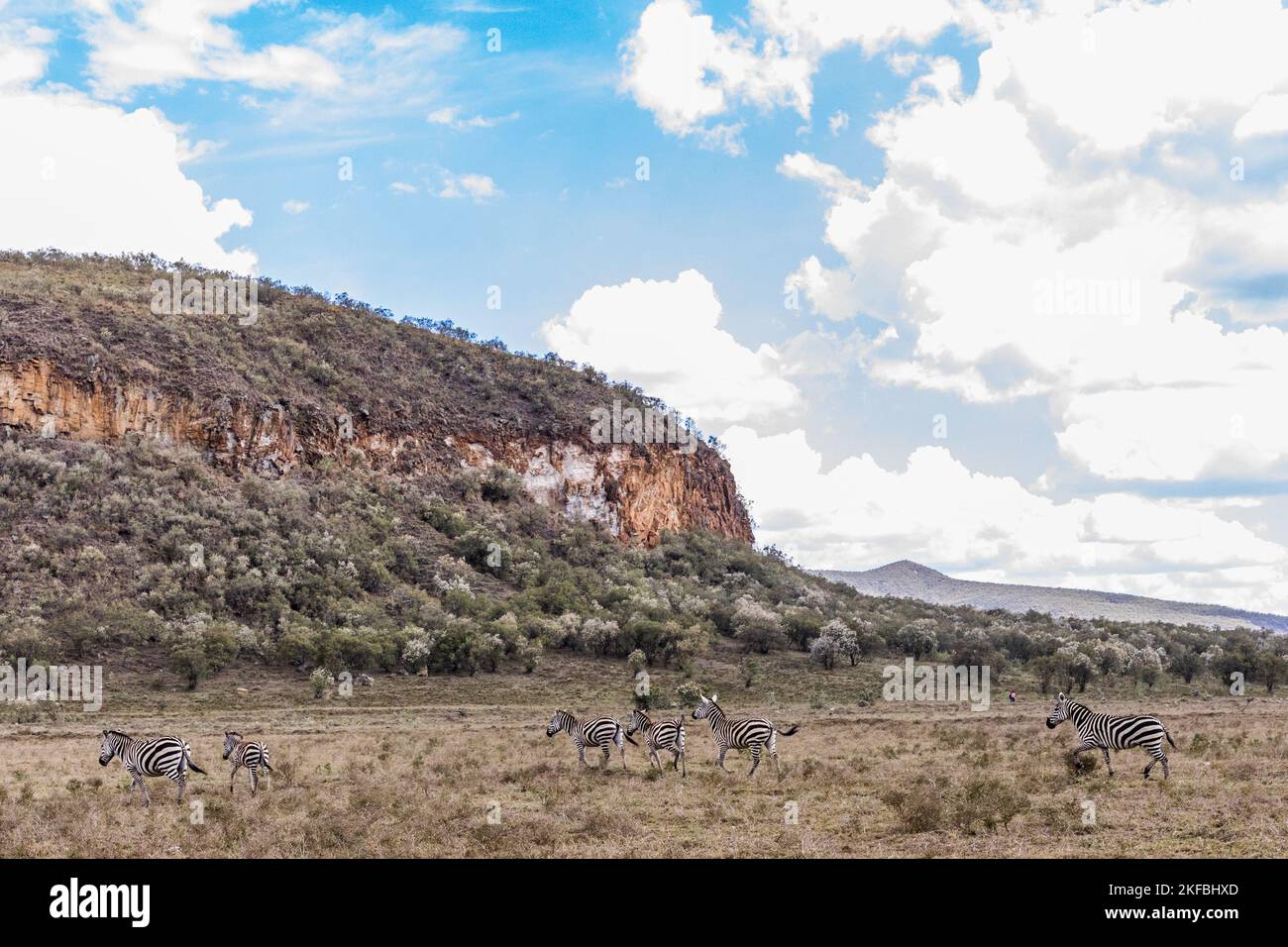 Hell's Gate National Park lies south of Lake Naivasha in Kenya, north ...