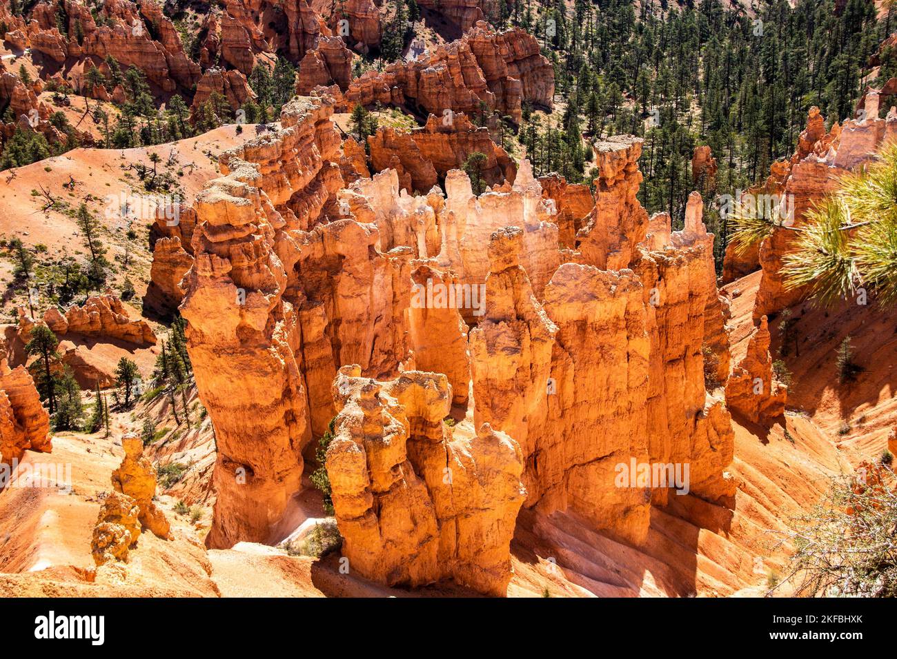 Looking down into Bryce Canyon on sunny day at giant red spires and ...