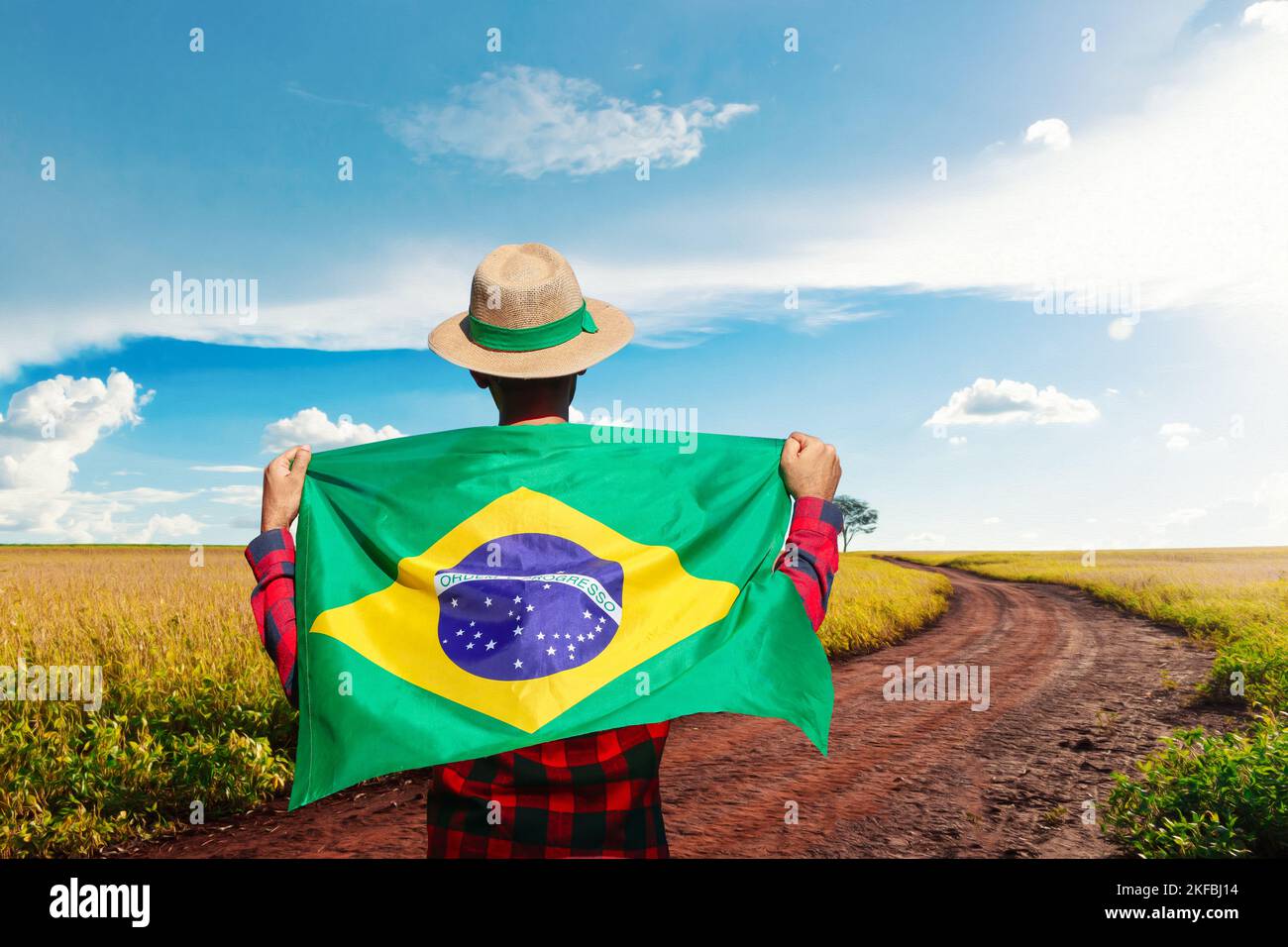 Agriculture in Brazil Stock Photo - Alamy