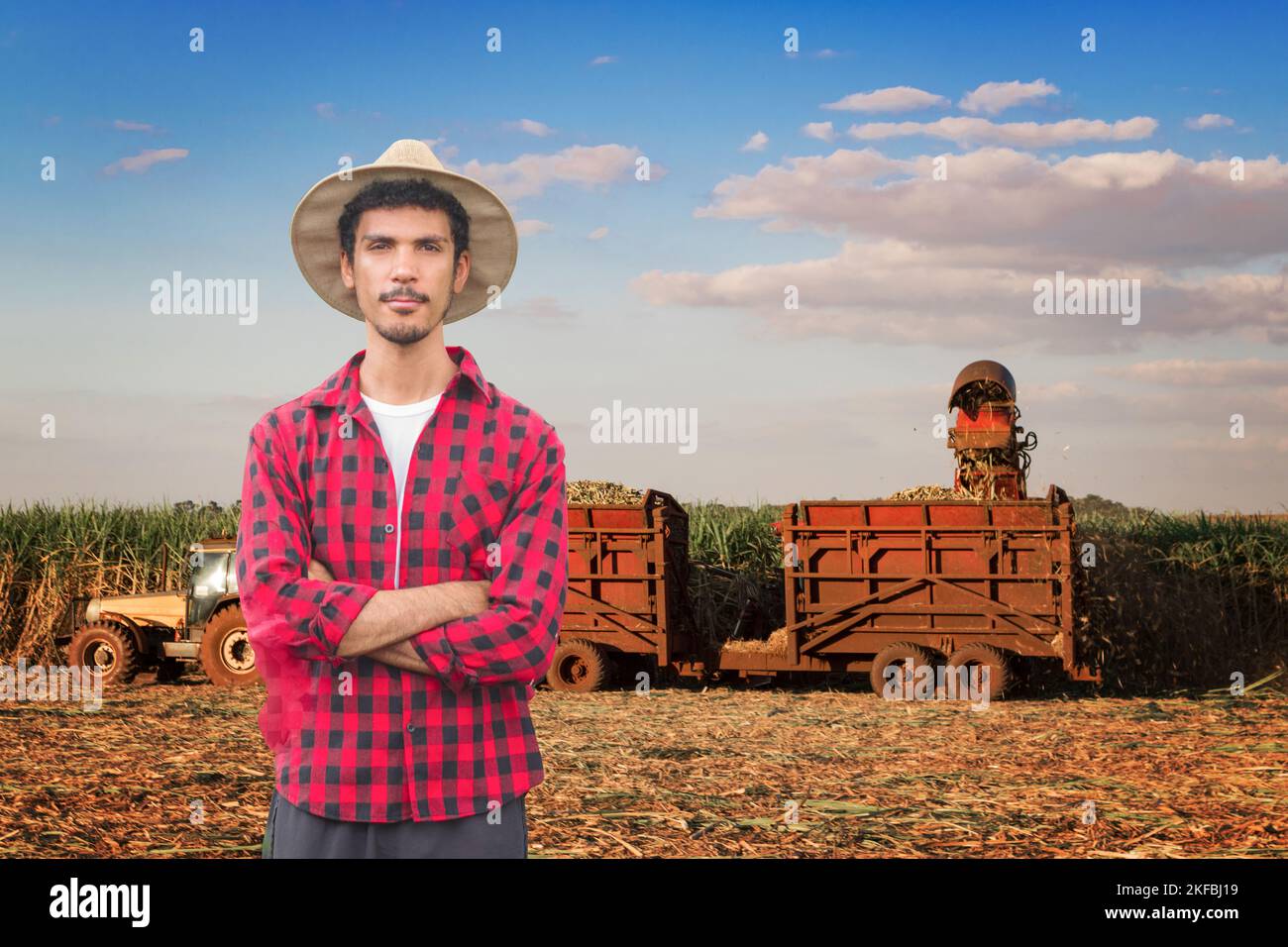 Agriculture in Brazil Stock Photo - Alamy